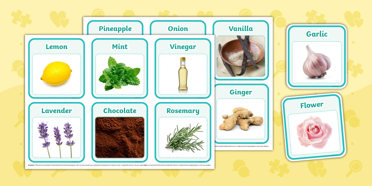 Sense of Smell Cards - Picture Cards (teacher made) - Twinkl