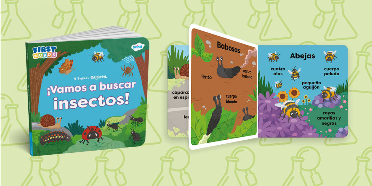Insectos y sus características, 0-4 años - Twinkl Colombia
