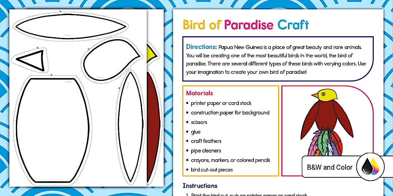 Engaging Bird of Paradise Craft for Kids | Twinkl USA