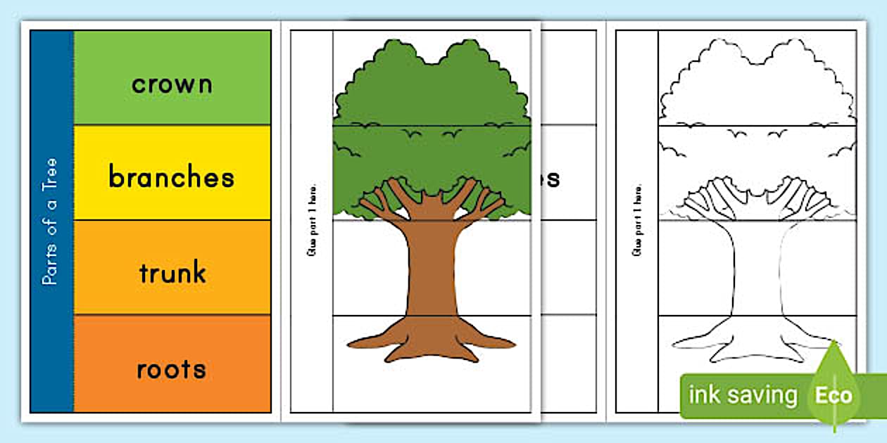 Parts of a Tree Flap Book | Kindergarten - Grade 1 | Twinkl