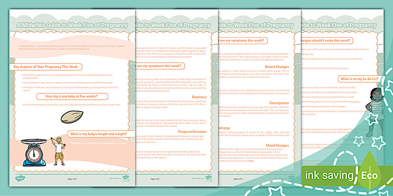 A Midwife's Guide to Week Five of Pregnancy - Twinkl