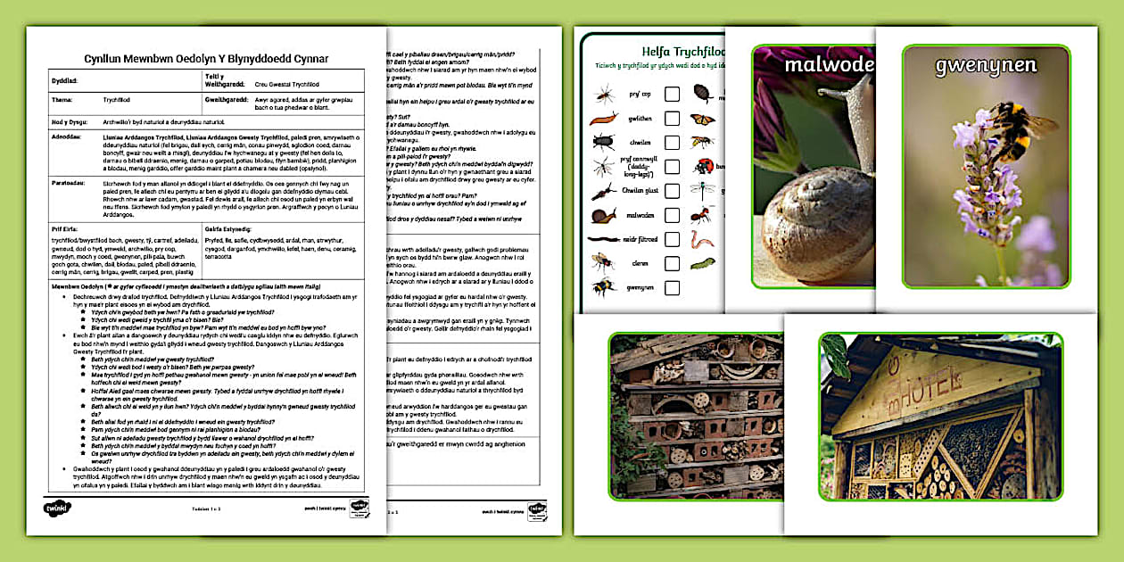Pecyn Adnoddau Creu Gwesty Trychfilod (Teacher-Made)