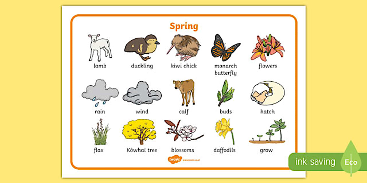 Editable New Zealand Spring Word Mat (teacher made) - Twinkl