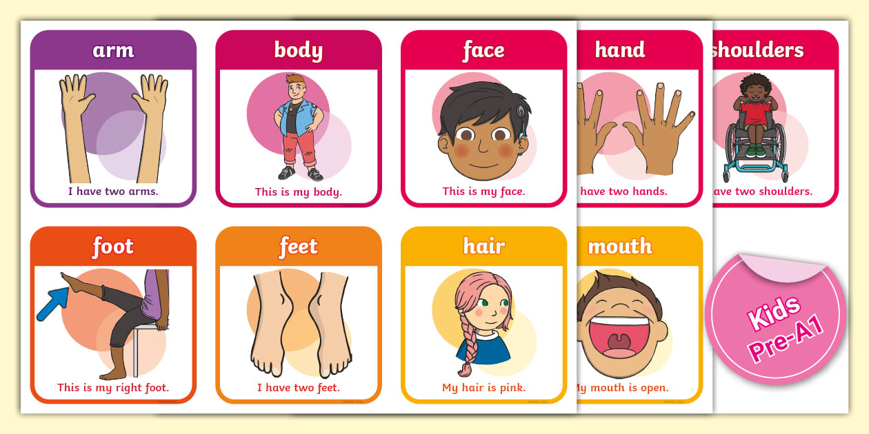 ESL English for Beginners Body/Face [Kids, Pre-A1] - Twinkl