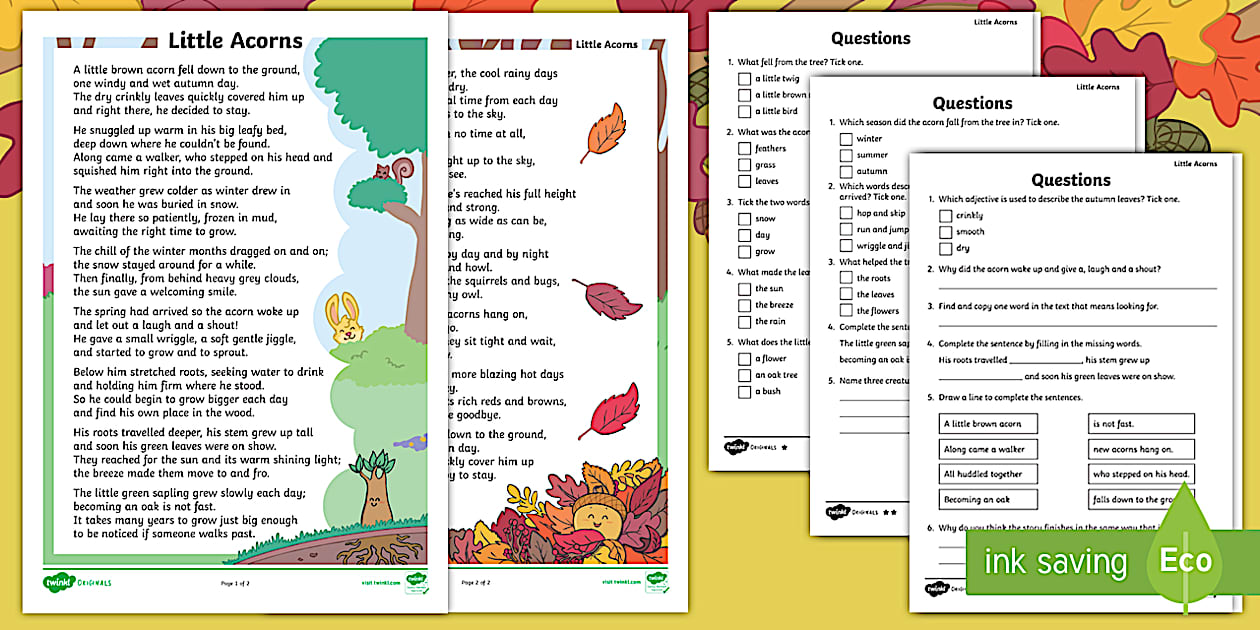 Year 2 Little Acorns Differentiated Reading Comprehension Activity