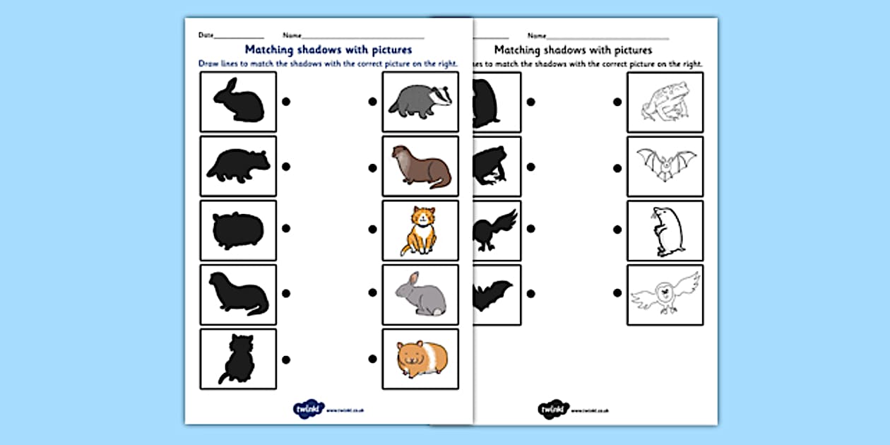 Nocturnal Animals Shadow Matching Worksheet (teacher made)