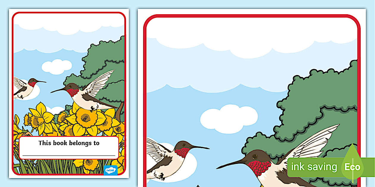 A Colourful Hummingbird Book Cover | Twinkl | KS1