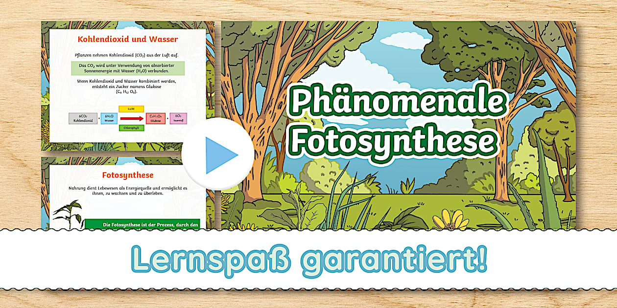 Phänomenale Fotosynthese - PowerPoint-Präsentation