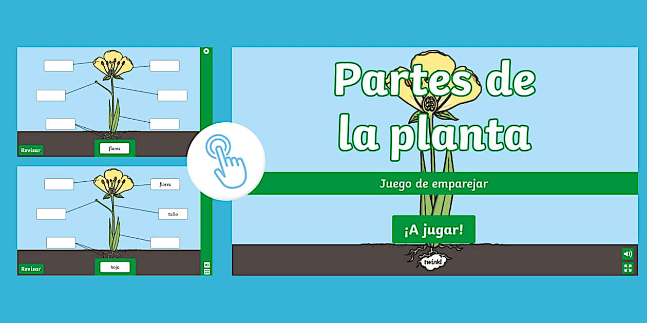 Juego para emparejar: Las partes de la planta - Twinkl Go