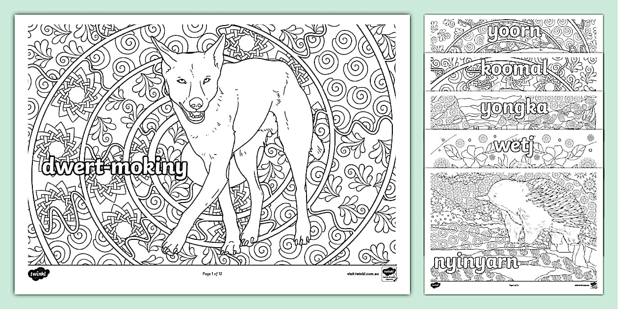 Bush Animal Colouring in Noongar Language (teacher made)