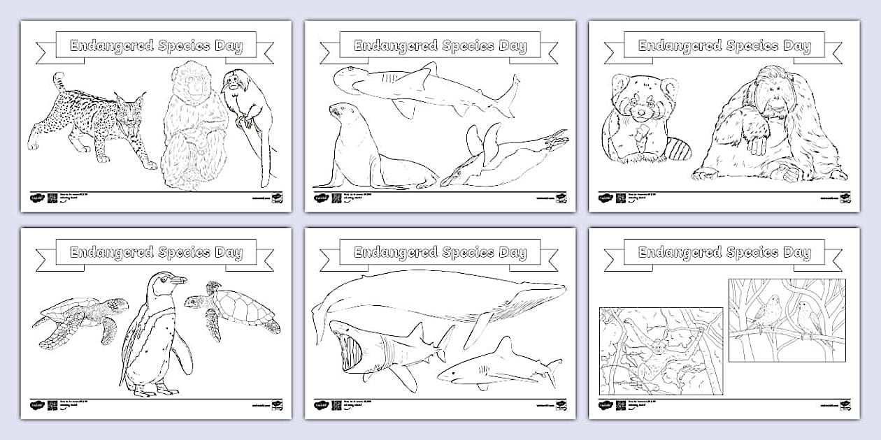 Endangered Species Day Colouring Pages - Twinkl - Animals