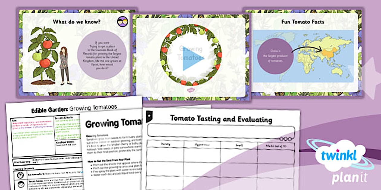 D&T: Edible Garden: Tasting and Growing Tomatoes LKS2 Lesson Pack 5