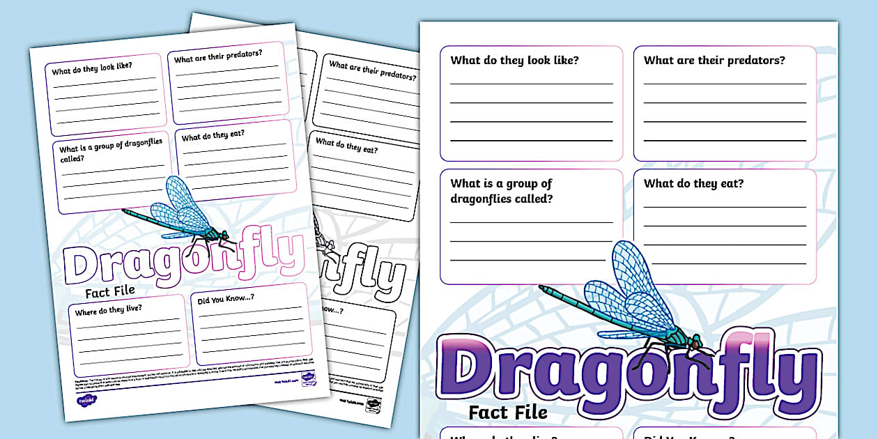 Dragonfly Fact File Template (Hecho por educadores) - Twinkl
