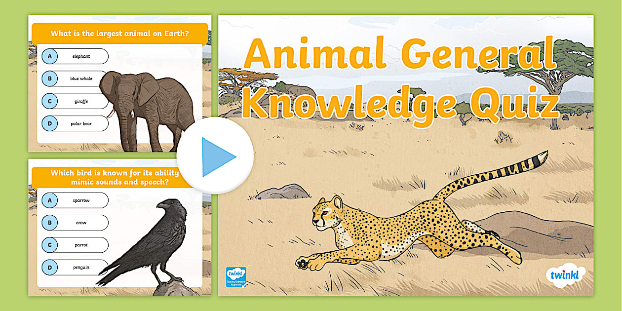 Animal General Knowledge PowerPoint Quiz (Lehrer gemacht)