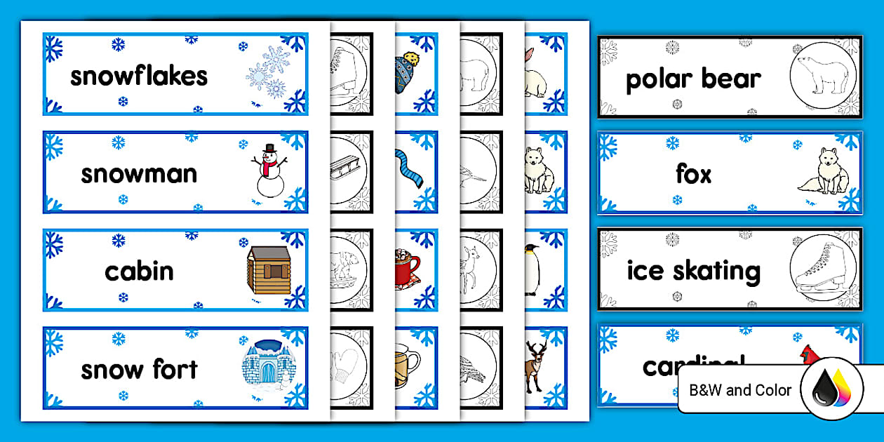 Winter Wonderland Dramatic Play Word Cards (Teacher-Made)