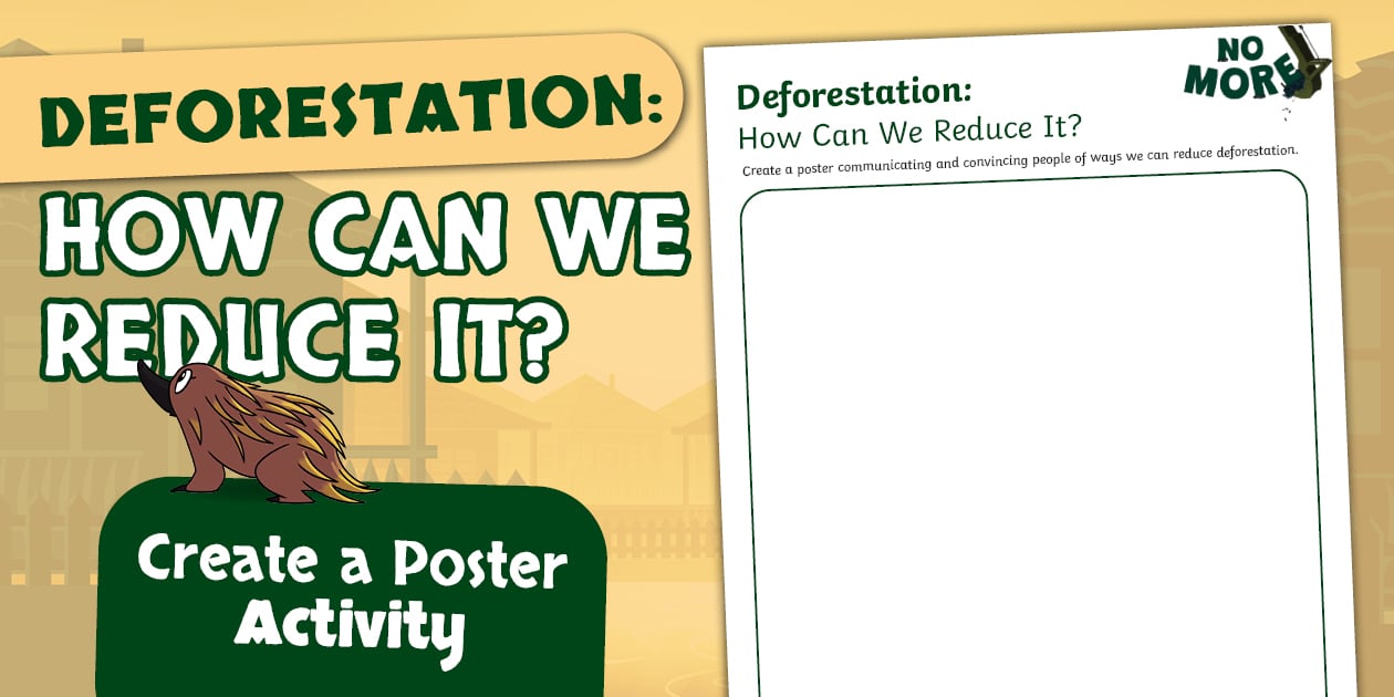 No More – Deforestation: How Can We Reduce It? Activity