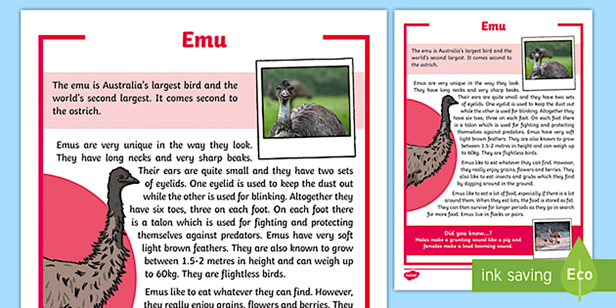 Emu Fact Sheet (teacher made) - Twinkl