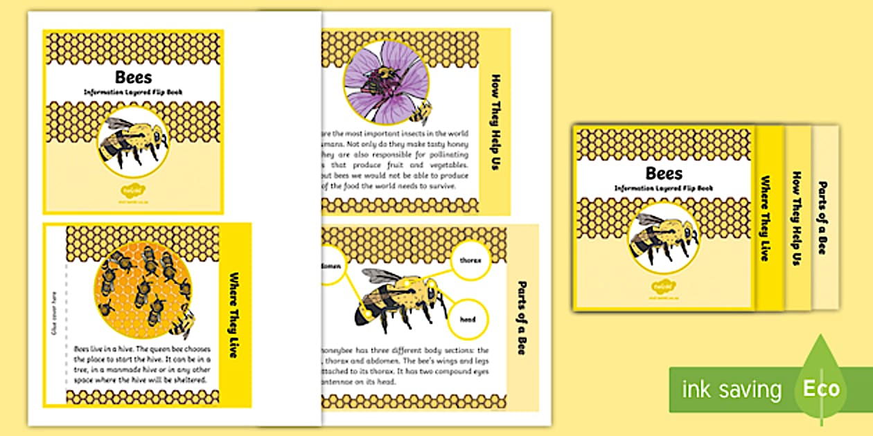 Editable Bees Information Layered Flip Booklet - Twinkl
