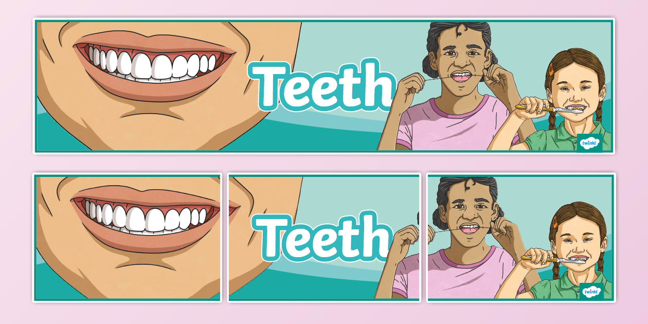Teeth Display Banner (Teacher-Made) - Twinkl