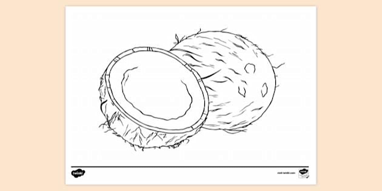 Coconut Colouring Page | Colouring Sheets (Teacher-Made)