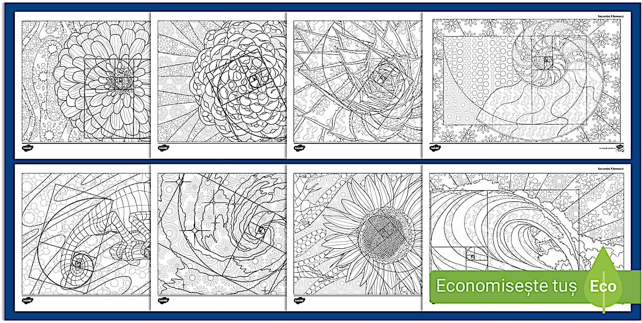 Șirul lui Fibonacci în natură Desene de colorat mindfulness