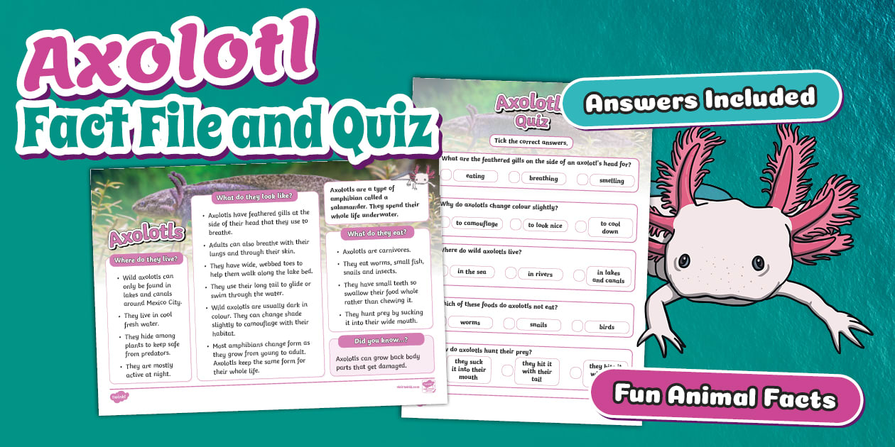 KS1 Axolotls Fact File and Quiz