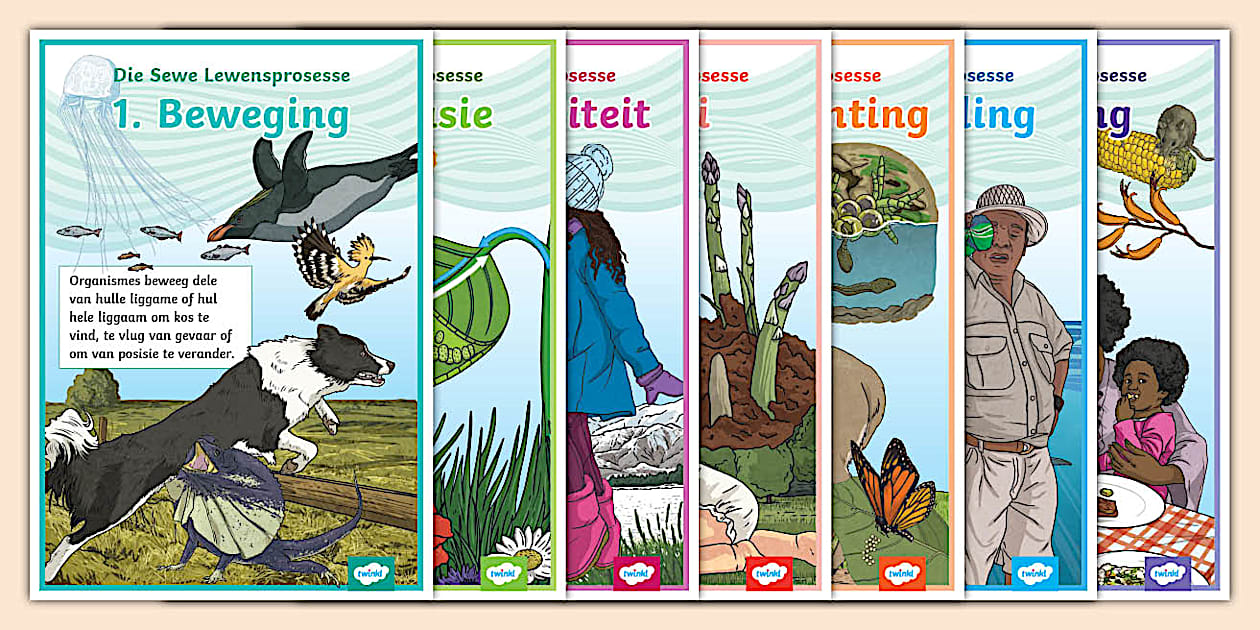 Die Sewe Lewensprosesse Plakkate (teacher made) - Twinkl