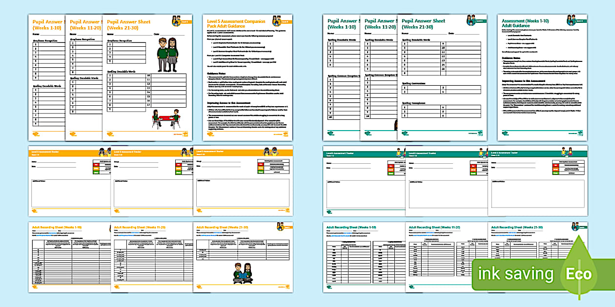 Twinkl Phonics L5-6 Assessment Companion Pack (teacher made)