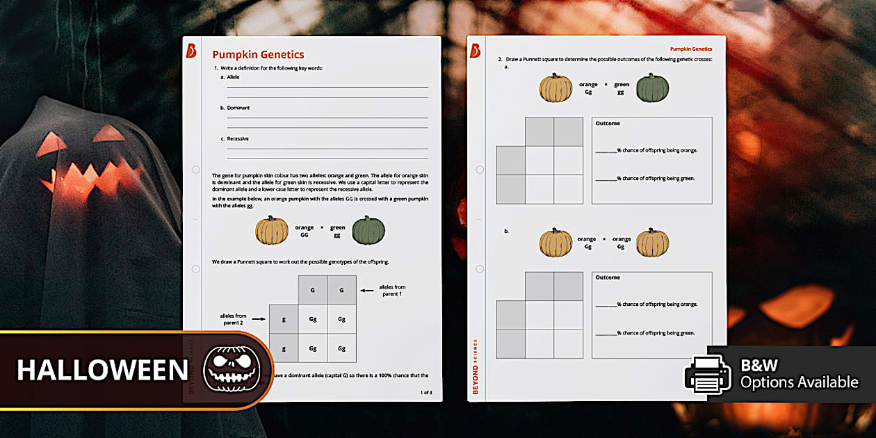 KS3 Science Pumpkin Genetics Worksheet | Beyond - Twinkl