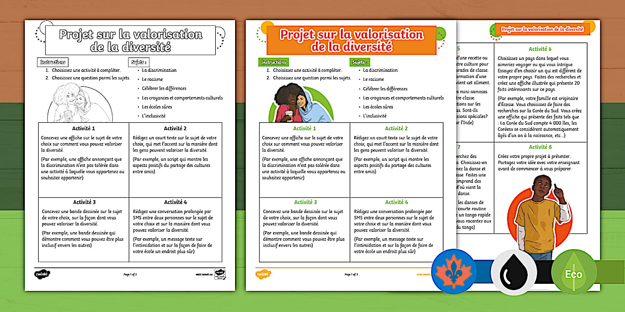 Valuing Diversity Project French (teacher made) - Twinkl