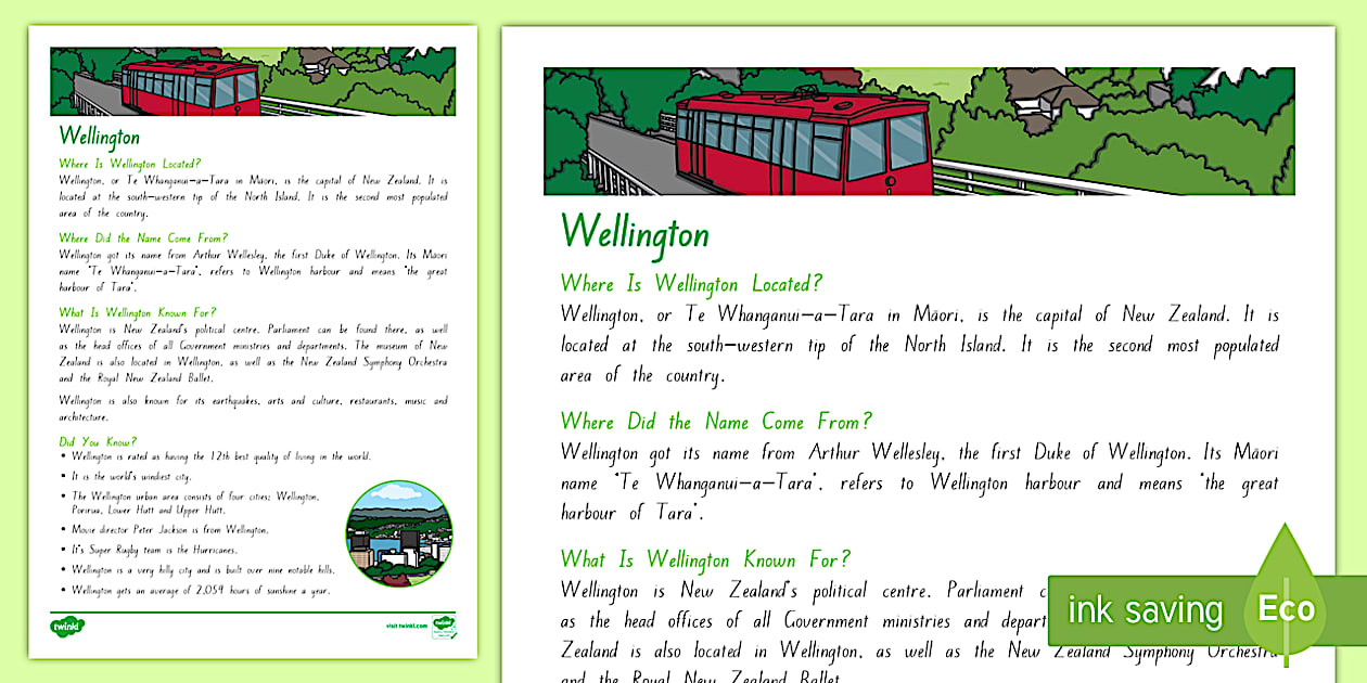 Wellington Fact File (teacher made) - Twinkl