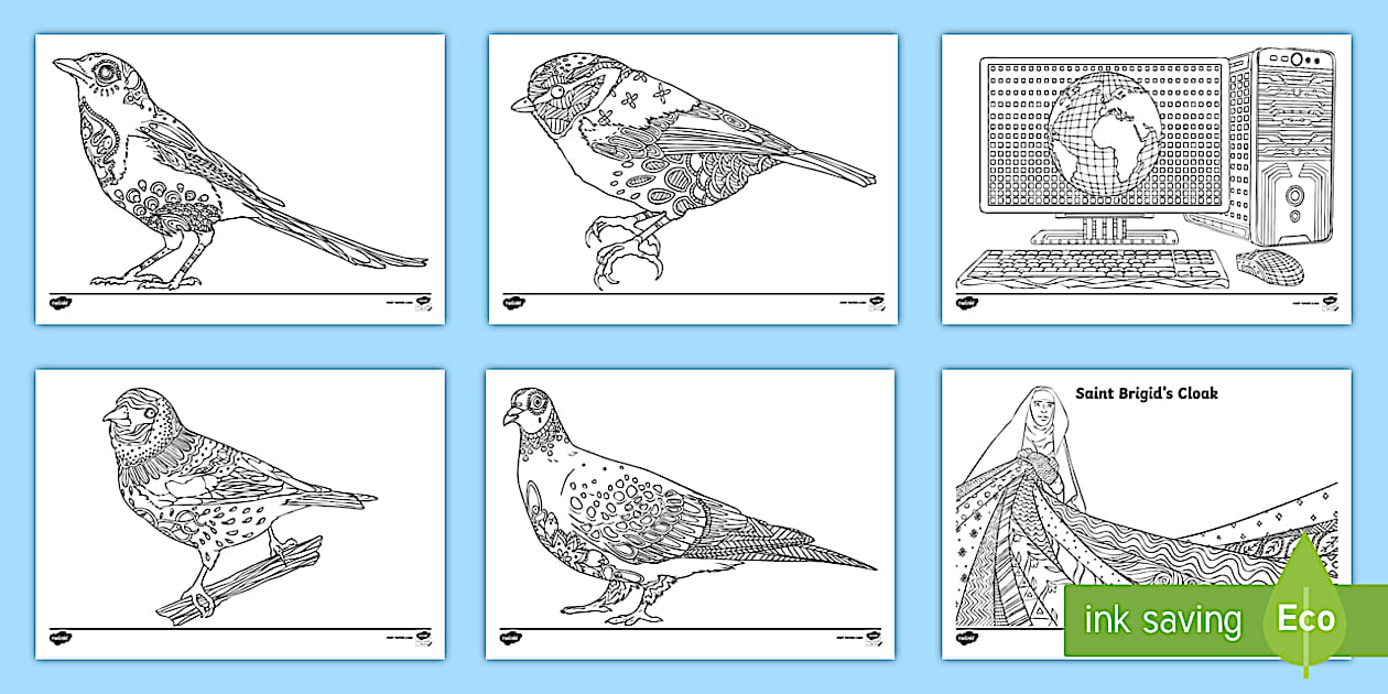 February Colouring Pages (teacher made) - Twinkl