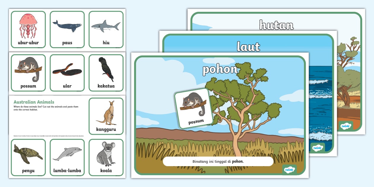 Australian Animals Cut and Paste - Indonesian (teacher made)