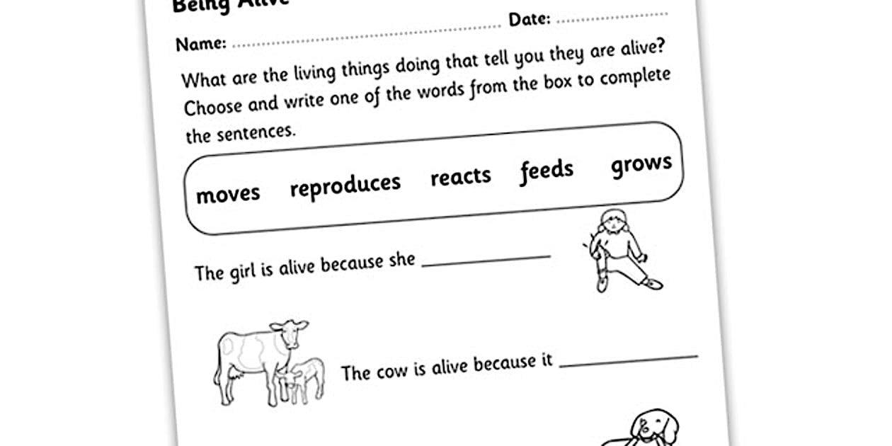 Being Alive Worksheet (teacher made) - Twinkl