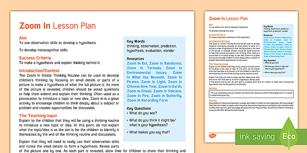 Zoom In Lesson Plan (teacher made) - Twinkl