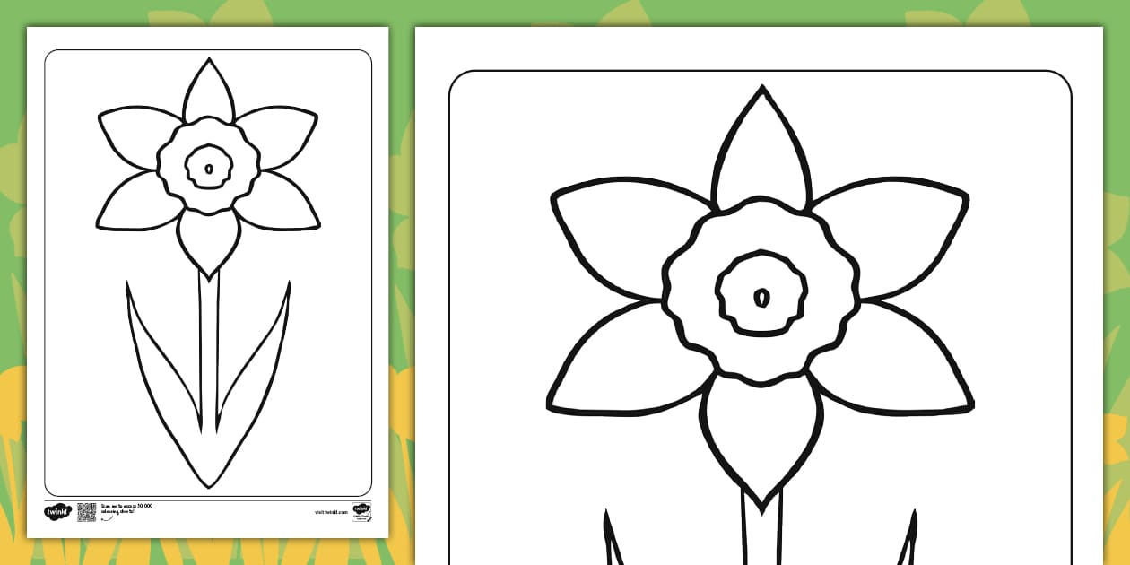 Daffodil Colouring Page for Kids | Twinkl