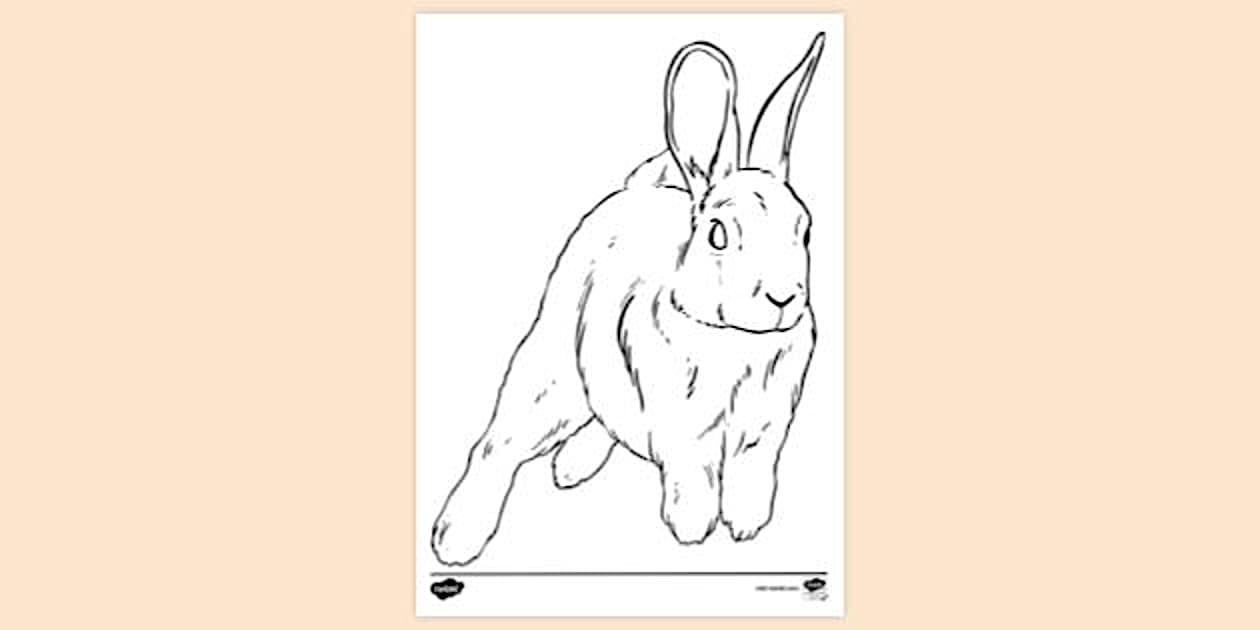Hopping Bunny Colouring Sheet | Colouring Sheets - Twinkl