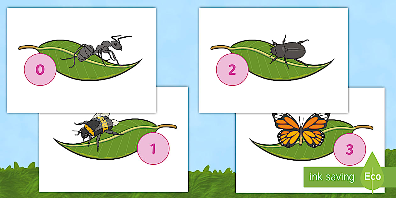 Numbers 0-20 on Minibeasts (teacher made) - Twinkl