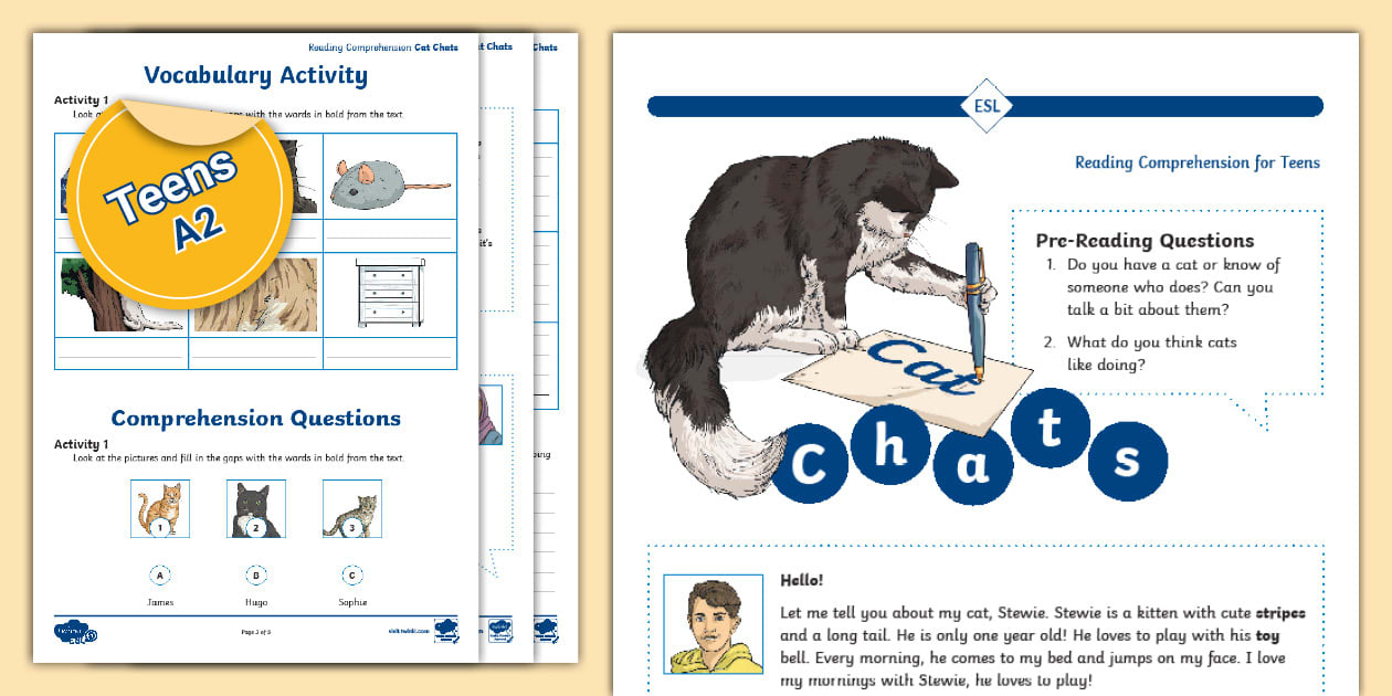 ESL Reading Comprehension: Cat Chats on Twinkl - Twinkl