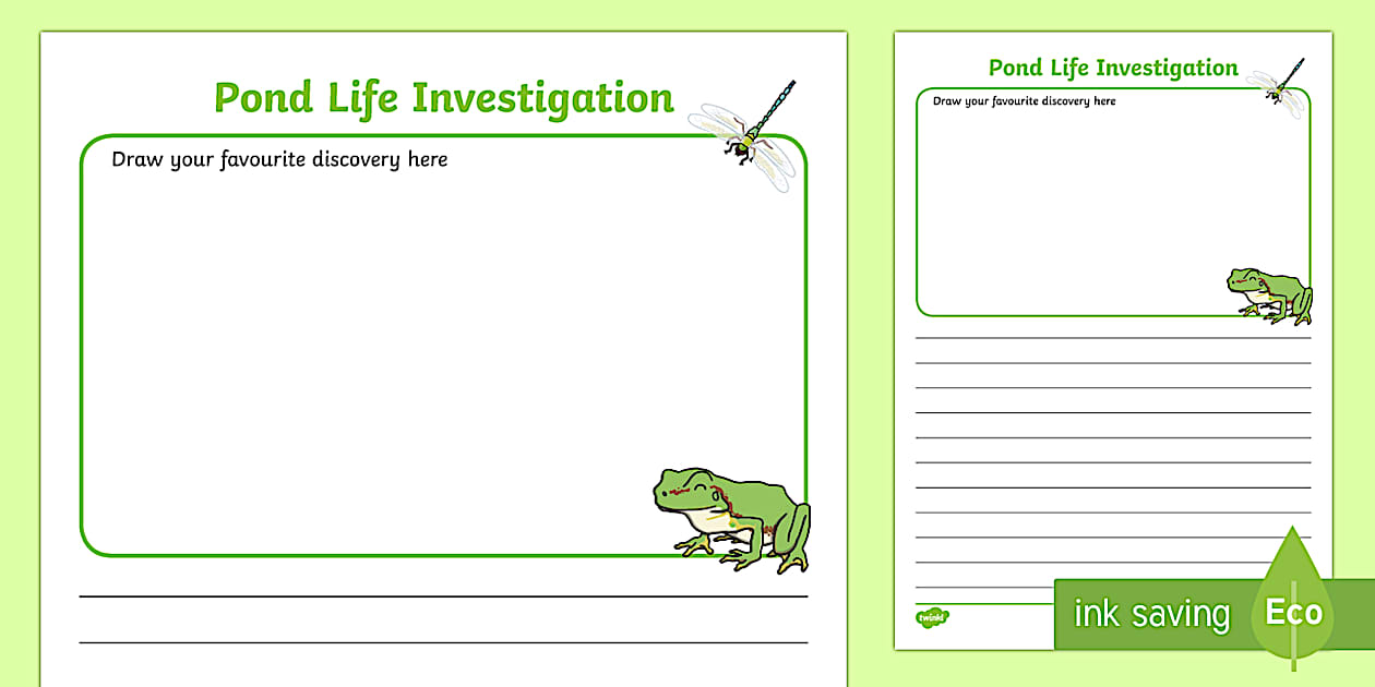 Pond Dipping Record Worksheet / Worksheet (teacher made)
