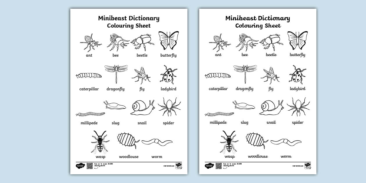 Minibeast Dictionary Colouring Sheet - Twinkl