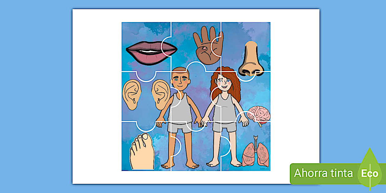 Puzzle: El cuerpo humano (Teacher-Made) - Twinkl