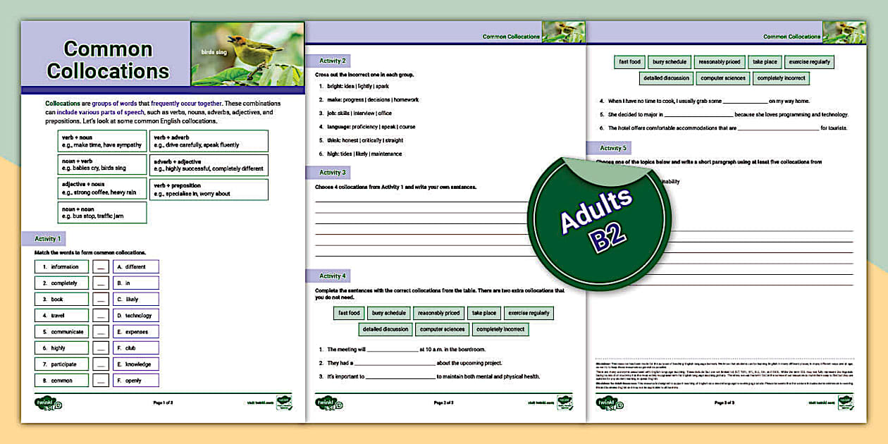 ESL Common Collocations Worksheet [Adults, B2] - Twinkl