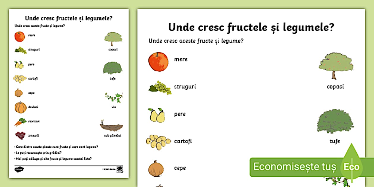 Unde cresc fructele și legumele? – Fișă de lucru