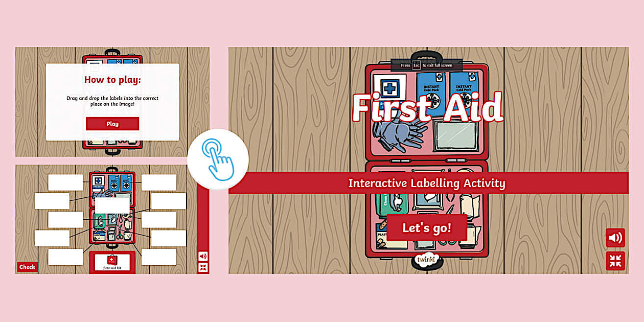 First Aid Kit Interactive Labelling Activity