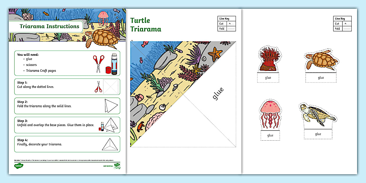 Turtle Triarama Craft - Twinkl Canada