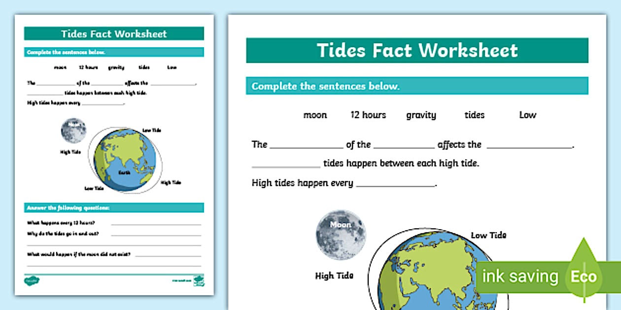 Tides Fact Worksheet - Science Resource (teacher made)