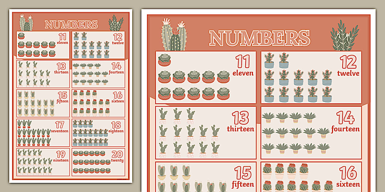 👉 Succulents-Themed Numbers 11-20 Display Poster - Twinkl