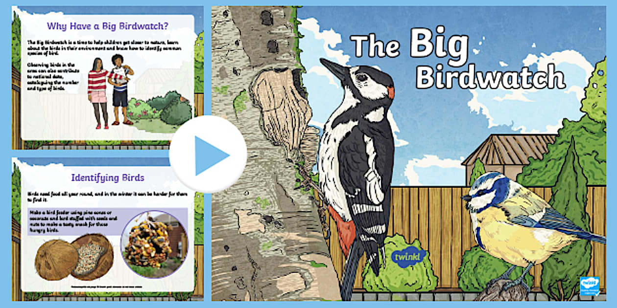 The Big Birdwatch PowerPoint (teacher made) - Twinkl