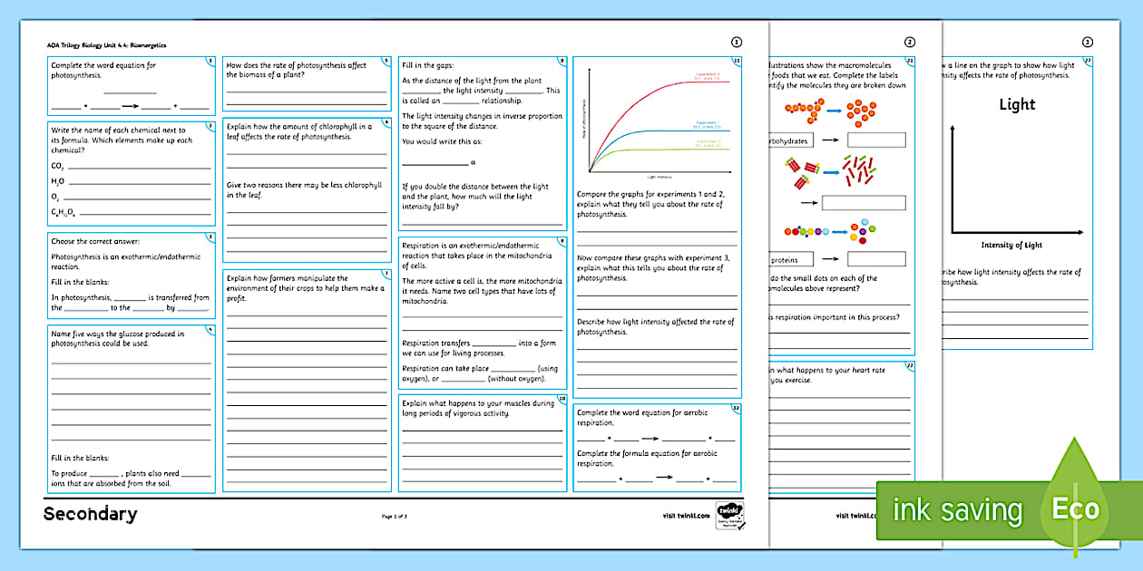 Editable AQA Biology (Combined) Unit 4: Bioenergetics Higher Revision ...